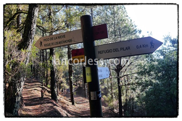 Transvulcania La Palma – A Guide | IAN CORLESS